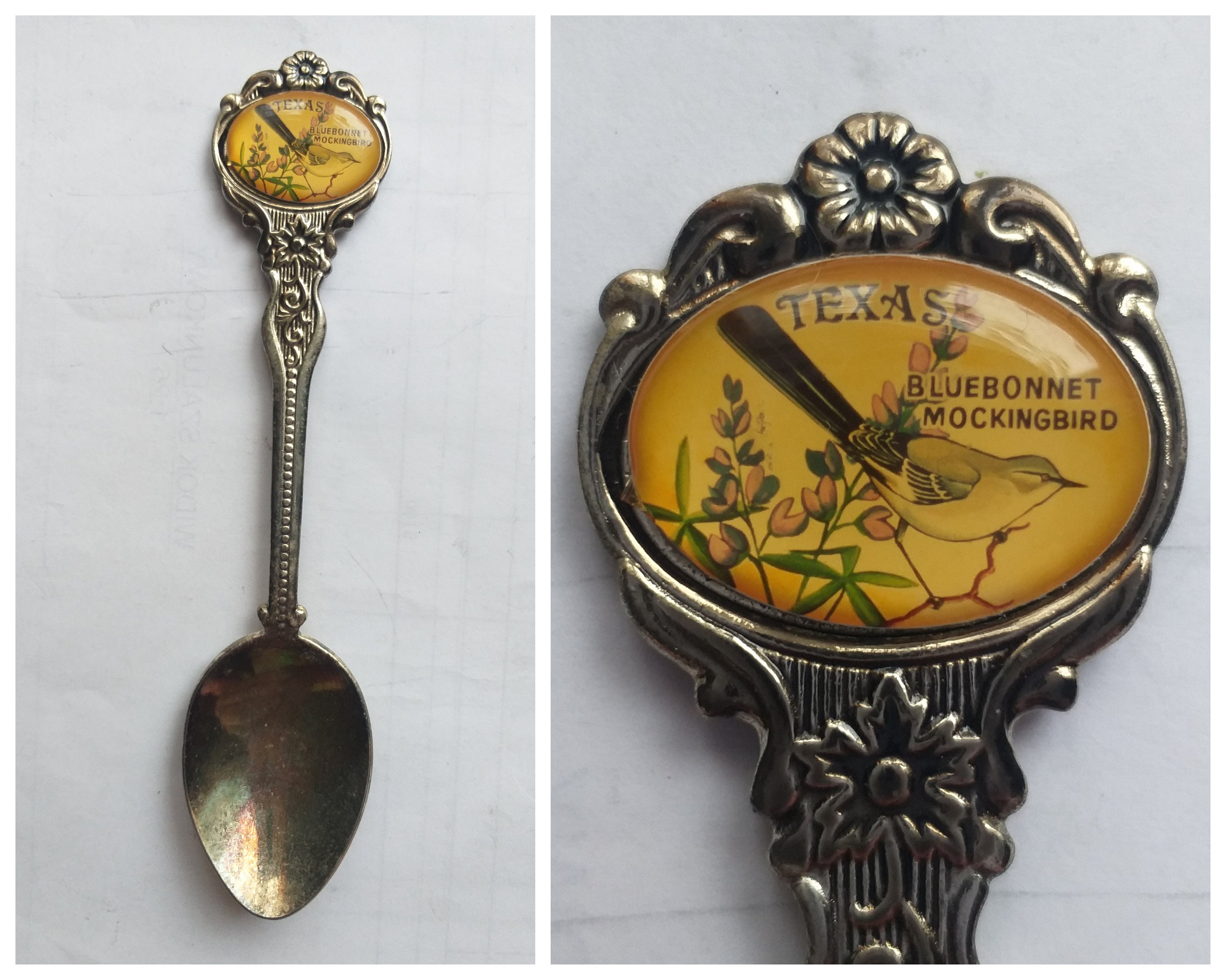 Sunken Gardens St Petersburg Florida Michigan Texas Sea Horse American ...