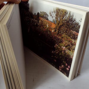 A Set of Beautiful Postcards With Roses, Printed in Germany in 1996 ...