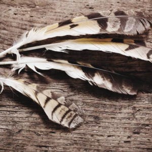 Shamanic Soul Retrieval, Shamanic Practices, Shaman Healing - Etsy