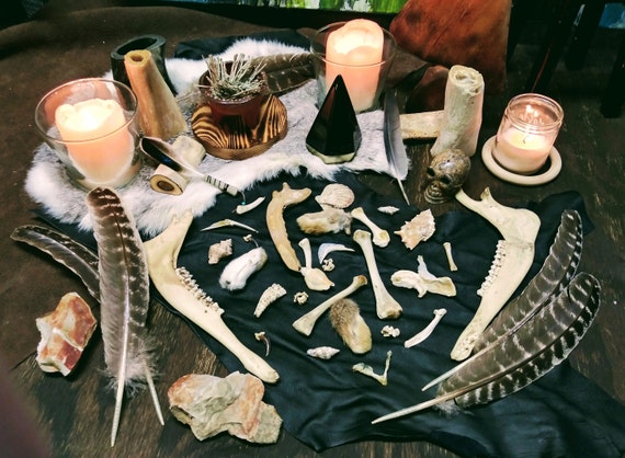 Mystery Divination Sets and Fortune Telling All Animal Items - Etsy