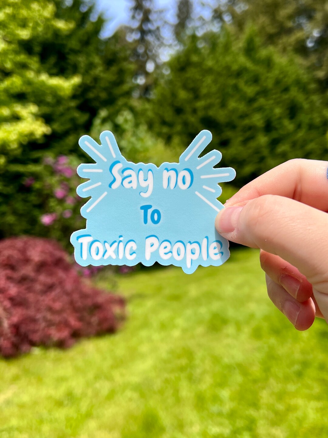 Say NO to Toxic People Sticker, Mental Health, Toxic, Toxicity, Self ...