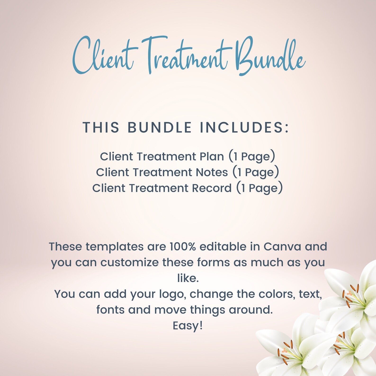 Editable Client Treatment Plan, Templates for Esthetician Business ...
