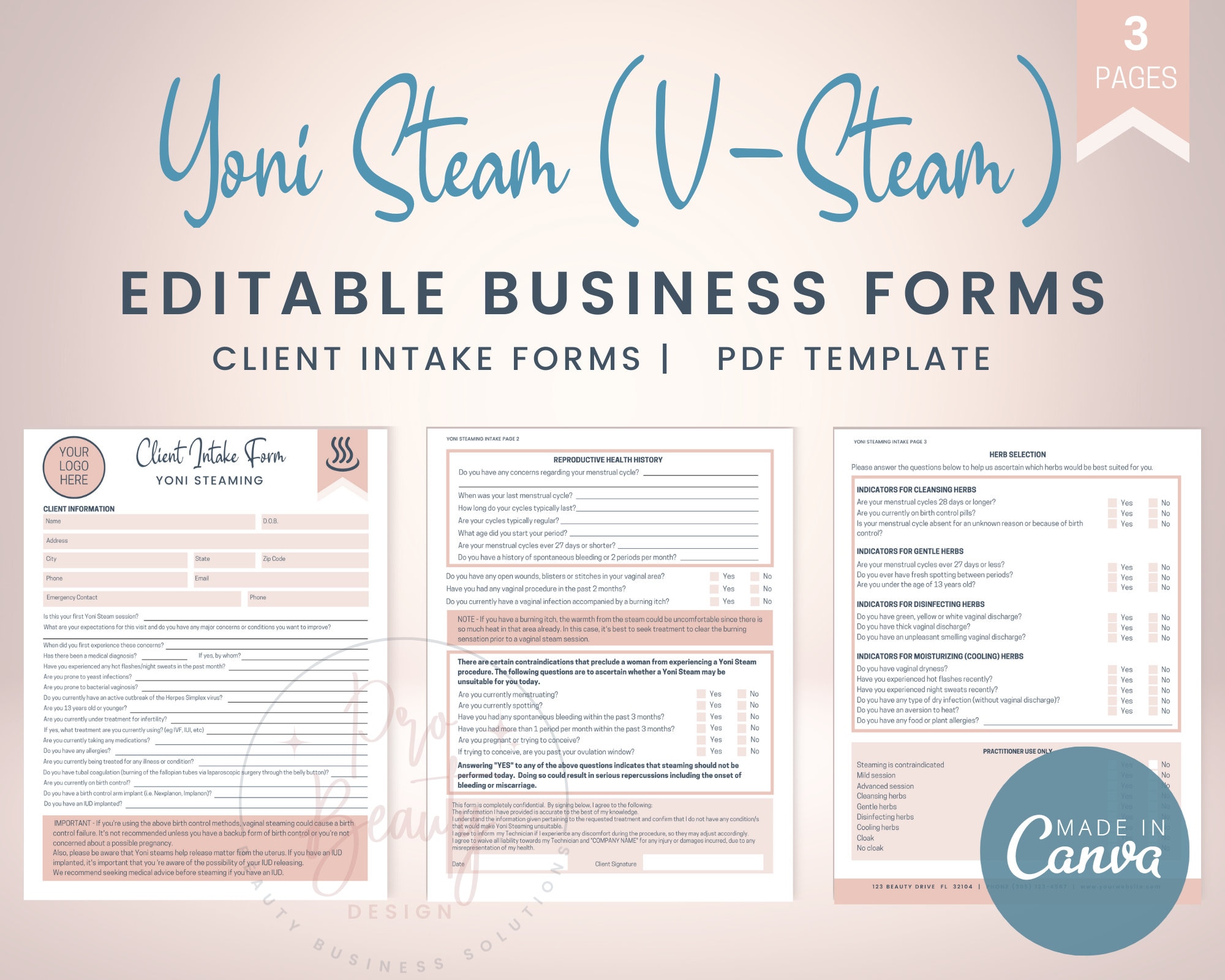 Yoni Steam Client Intake Forms, Editable Vaginal Steaming Consultation ...