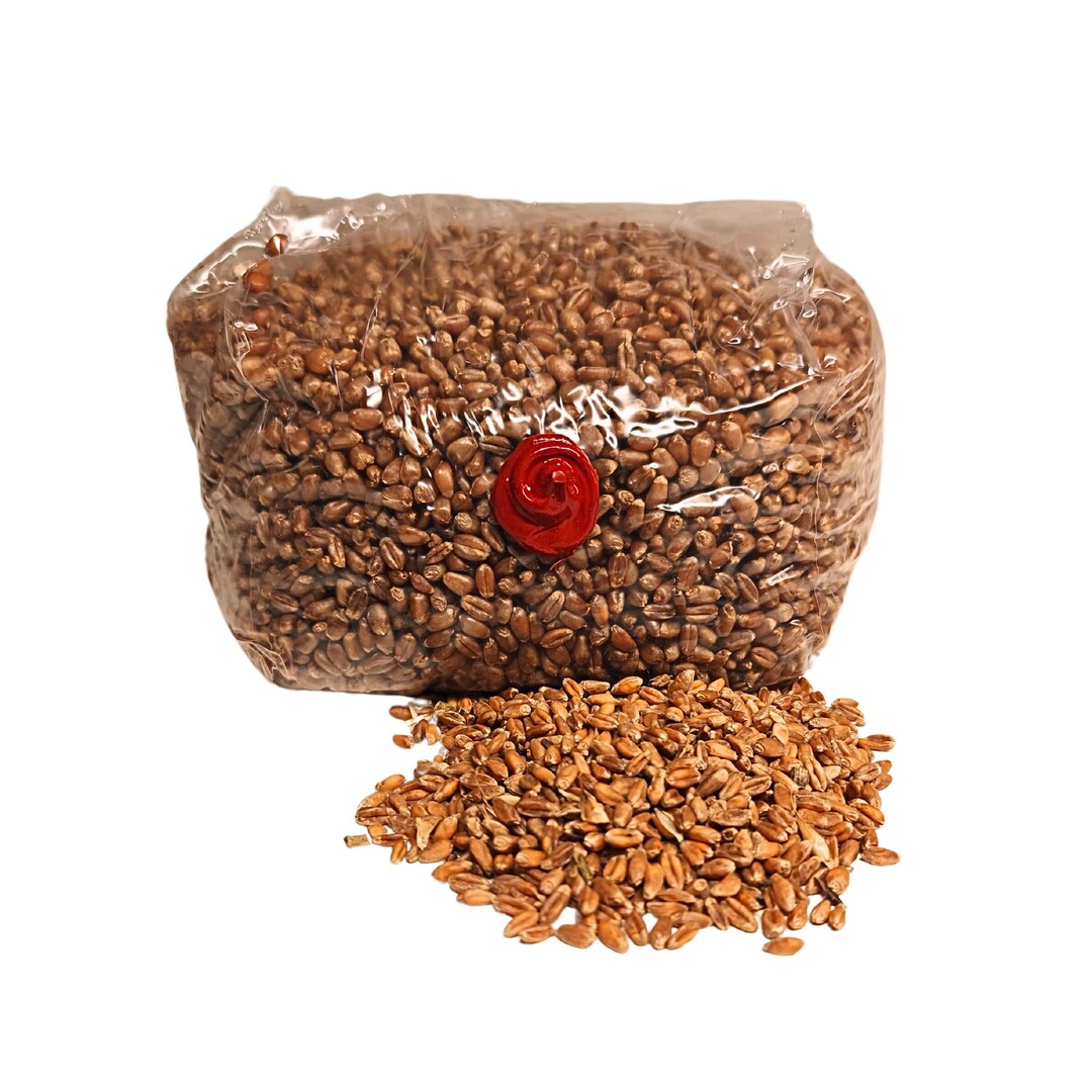 Mushroom Growing Sterilized Wheat Grain Spawn - Etsy