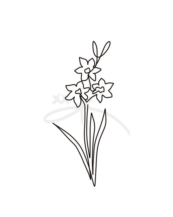 Daffodils Line Art Flowers Line Drawing Black and White | Etsy