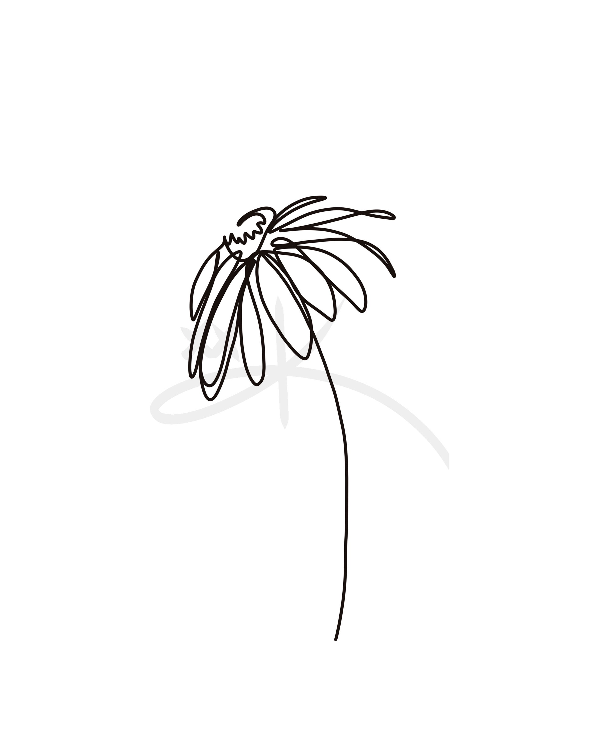 Daisy Line Drawing