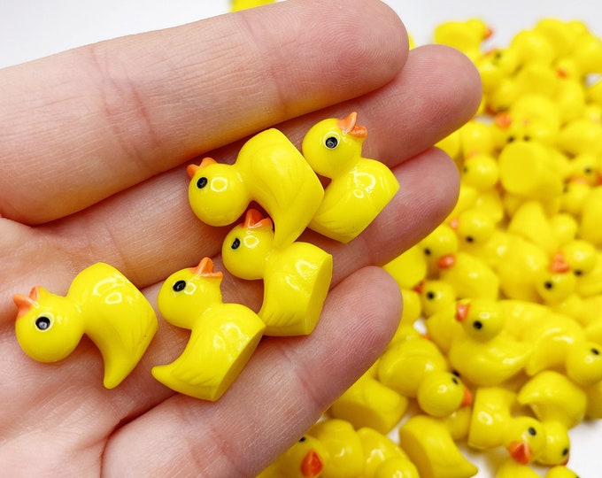 5 Pcs Tiny Resin Rubber Ducks Miniature Duck Cabochons - Etsy