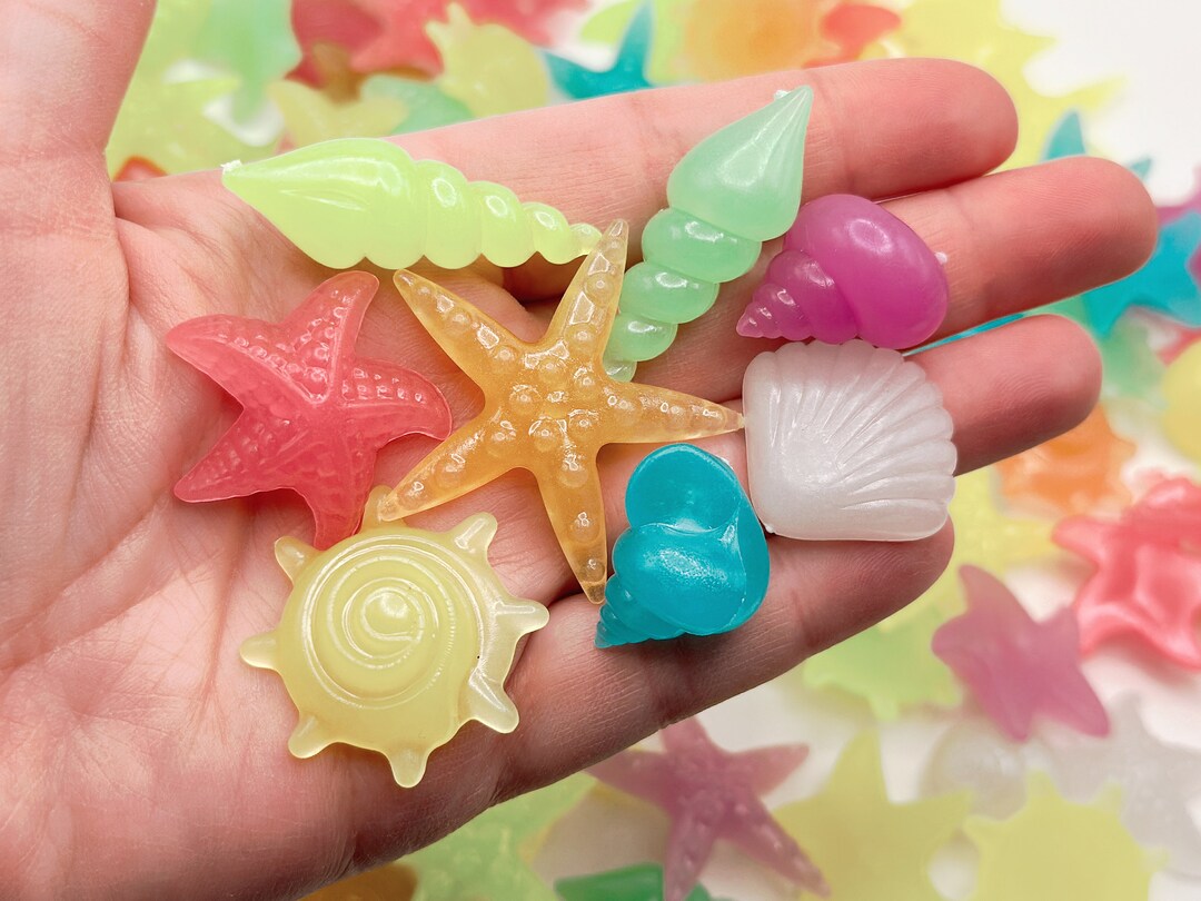 8pc Shells, Glow in the Dark, Diorama Shells, Acrylic Shell Gems, Craft ...