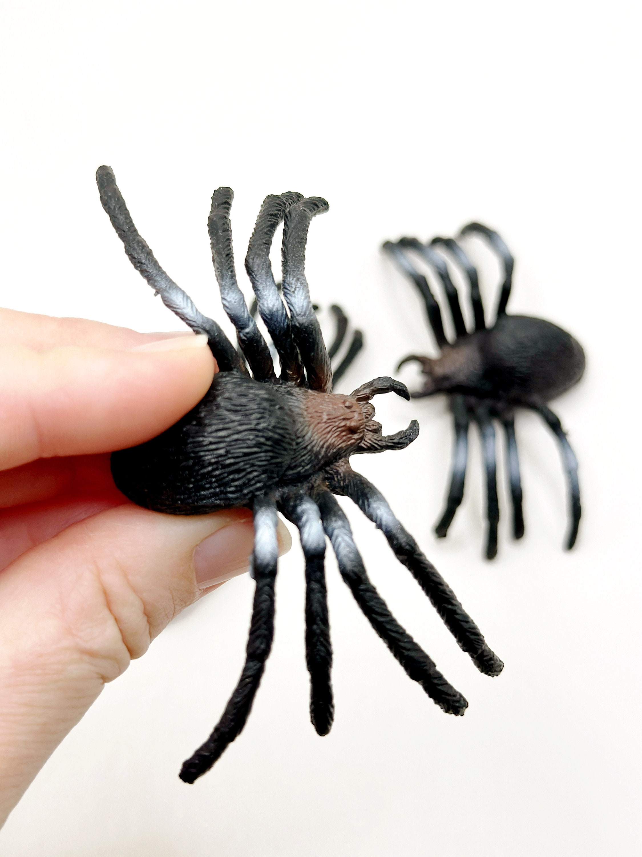 Spider, Bugs, Creepy Insects, Diorama Supplies, Insect for Crafts ...