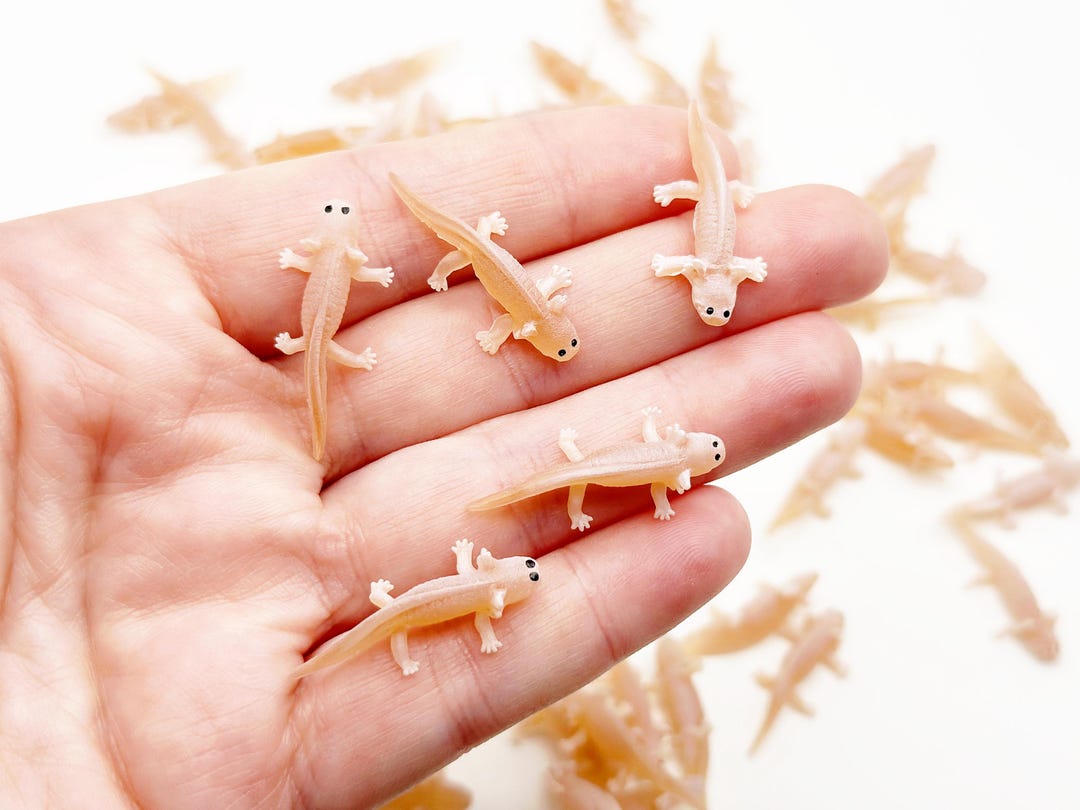 5pc Miniature Axolotl Figurines Tiny Mini Figure Diorama Supplies ...