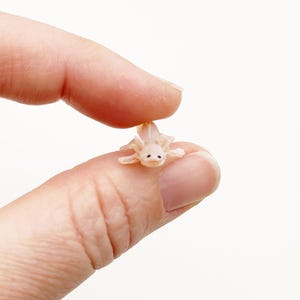 5pc Miniature Axolotl Figurines Tiny Mini Figure Diorama Supplies ...