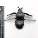 Bumblebee, Large Bug, Diorama, Birthday Decor, Insect Toys for Kids ...