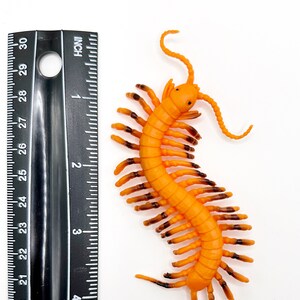 Centipede, Diorama Supplies, Insect Oddities, Cake Topper, Terrarium ...