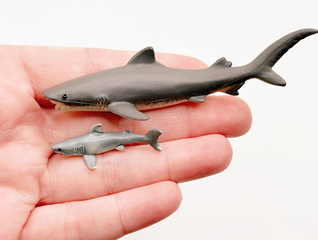 2pc Sharks, Mini Shark, Sea Animals, Gift for Shark Lover, Diorama ...