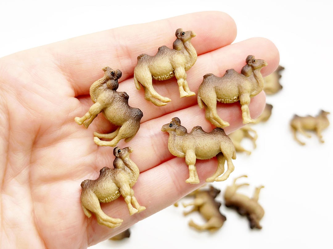 5pc Camel Miniature Figurines Tiny Mini Figure Diorama Terrarium Small ...