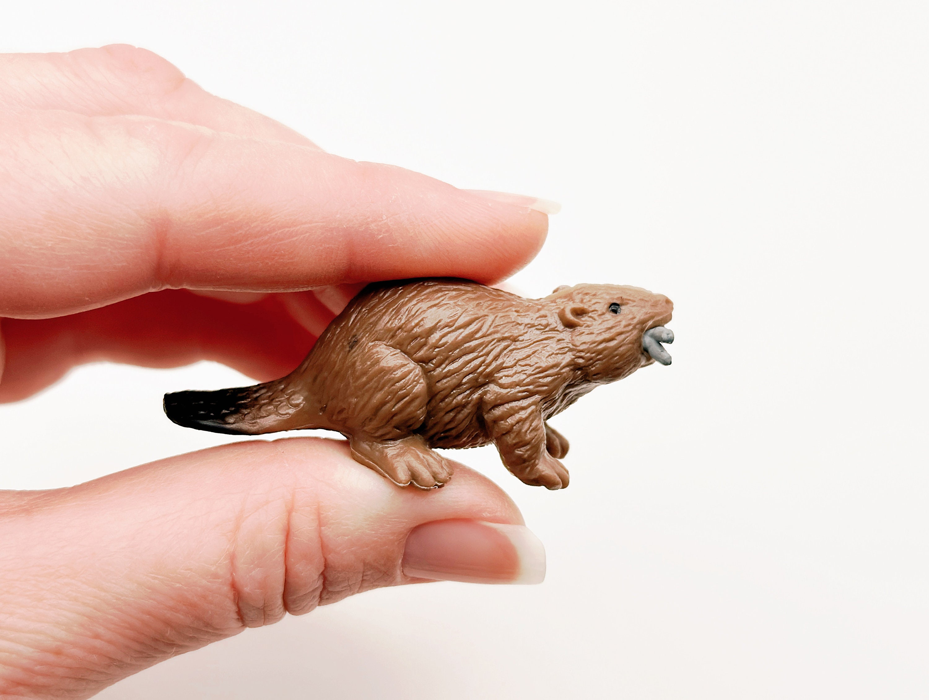3pc Raccoon Beaver Hedgehog, Diorama Supplies, Small Plastic Animals ...