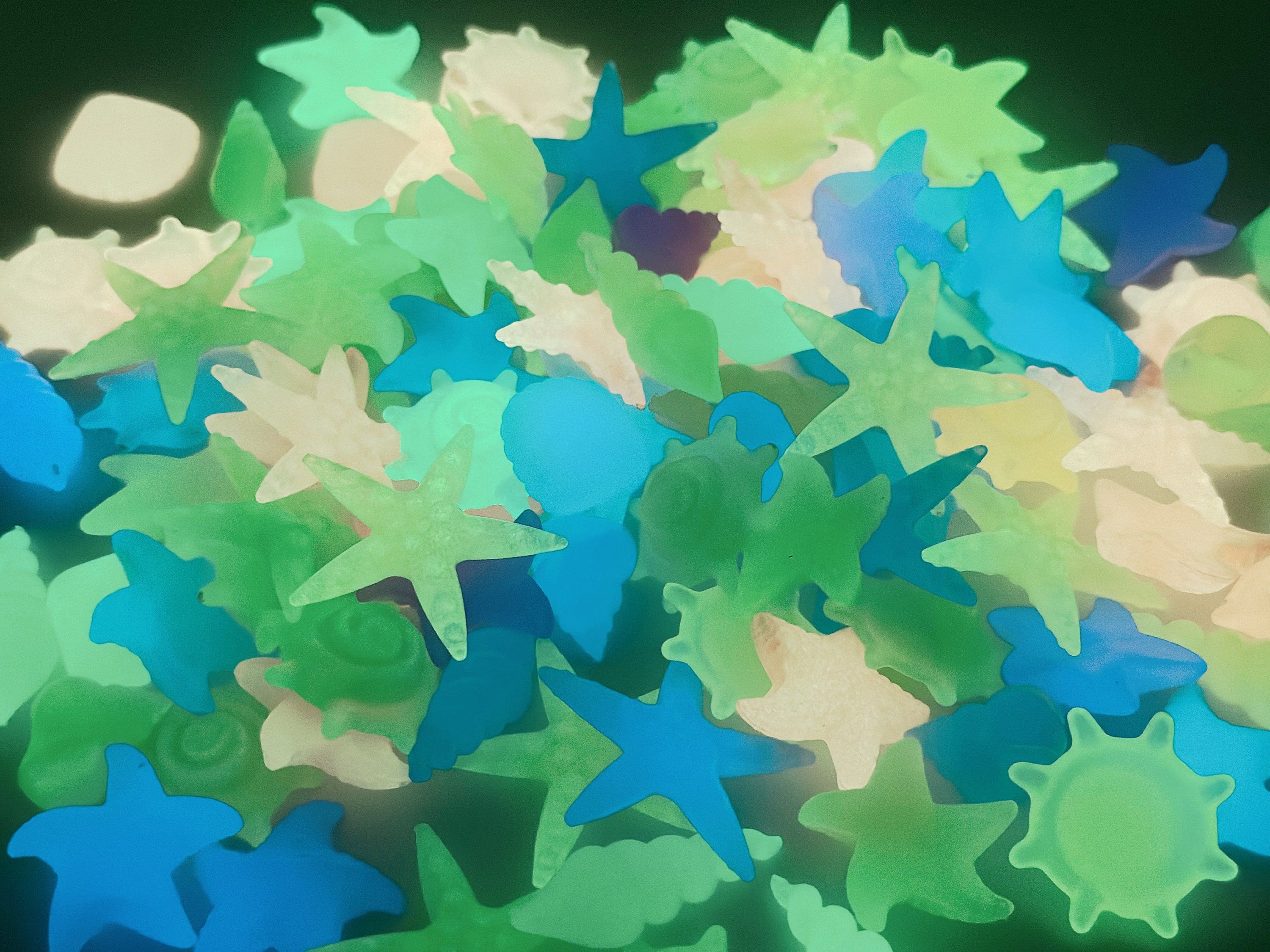 8pc Shells, Glow in the Dark, Diorama Shells, Acrylic Shell Gems, Craft ...