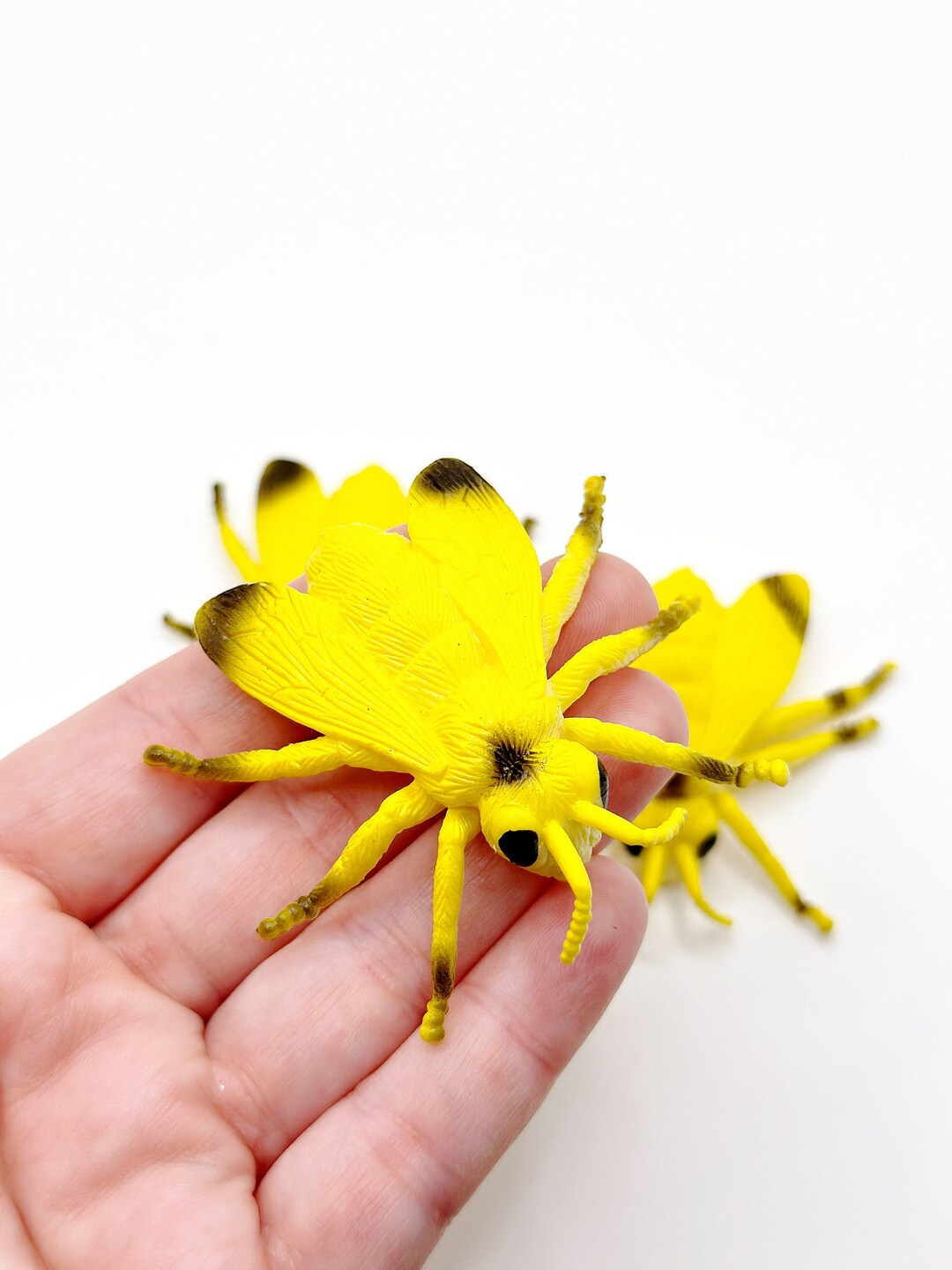 Beetle, Bugs, Fly Bee, Moth Firefly, Diorama Supplies, Insect for ...