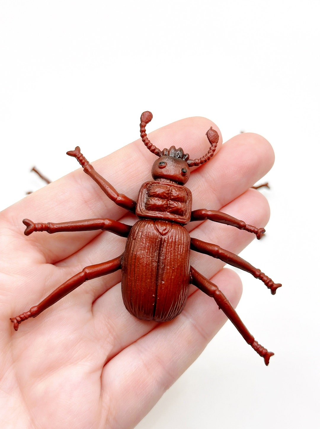 Beetle, Bugs, Scarab, Weevil, Stag Beetle, Diorama Supplies, Insect for ...