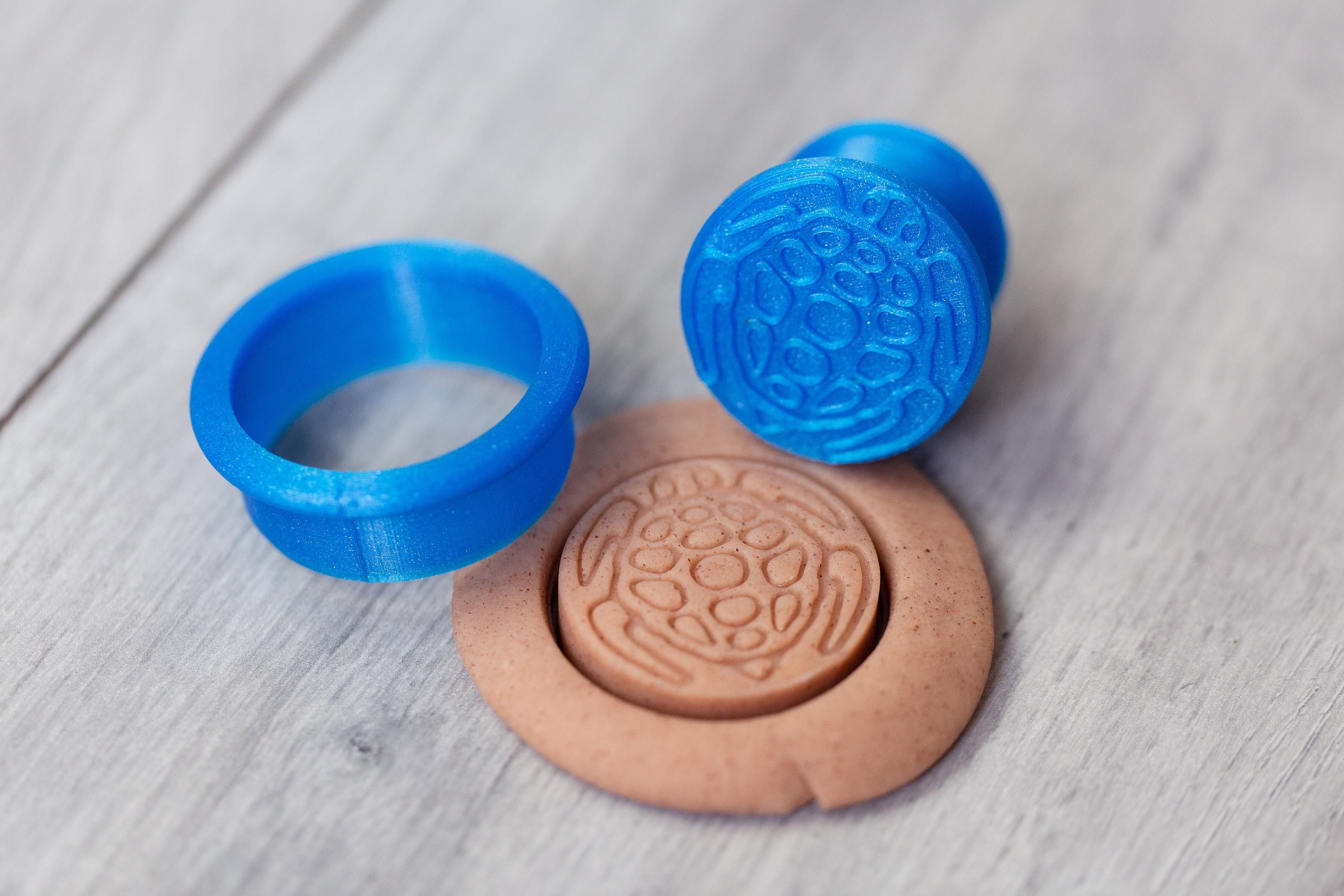 sea-turtle-stamp-play-dough-3d-print-colors-shapes-sensory-kits-cookie