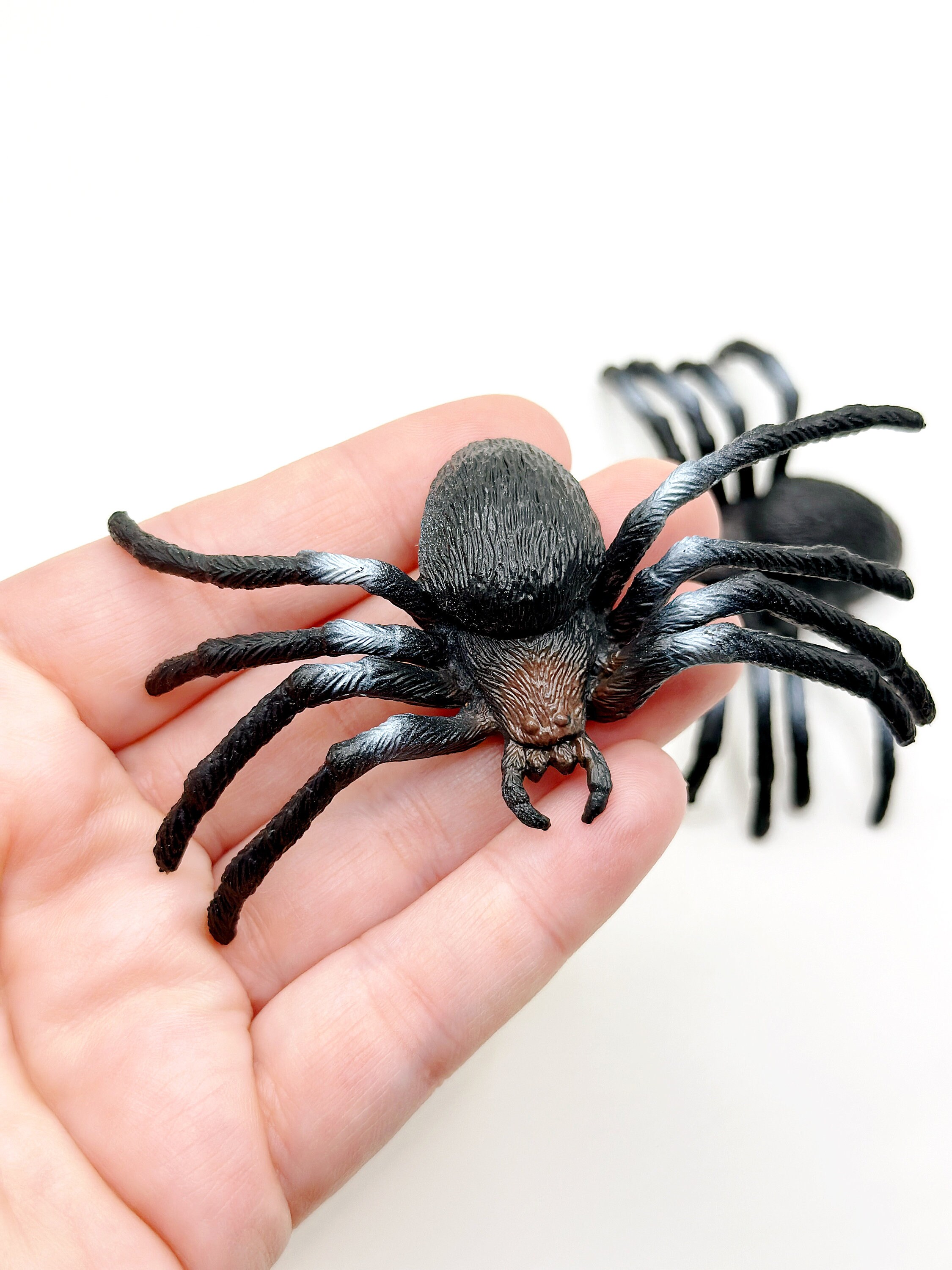 Spider, Bugs, Creepy Insects, Diorama Supplies, Insect for Crafts ...