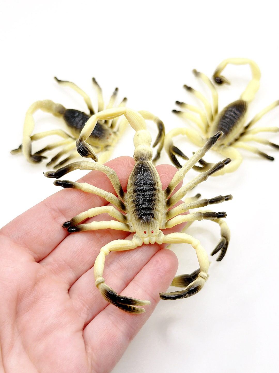 Scorpion, Realistic Insects, Figurines Dollhouse Fairy Garden Diorama ...