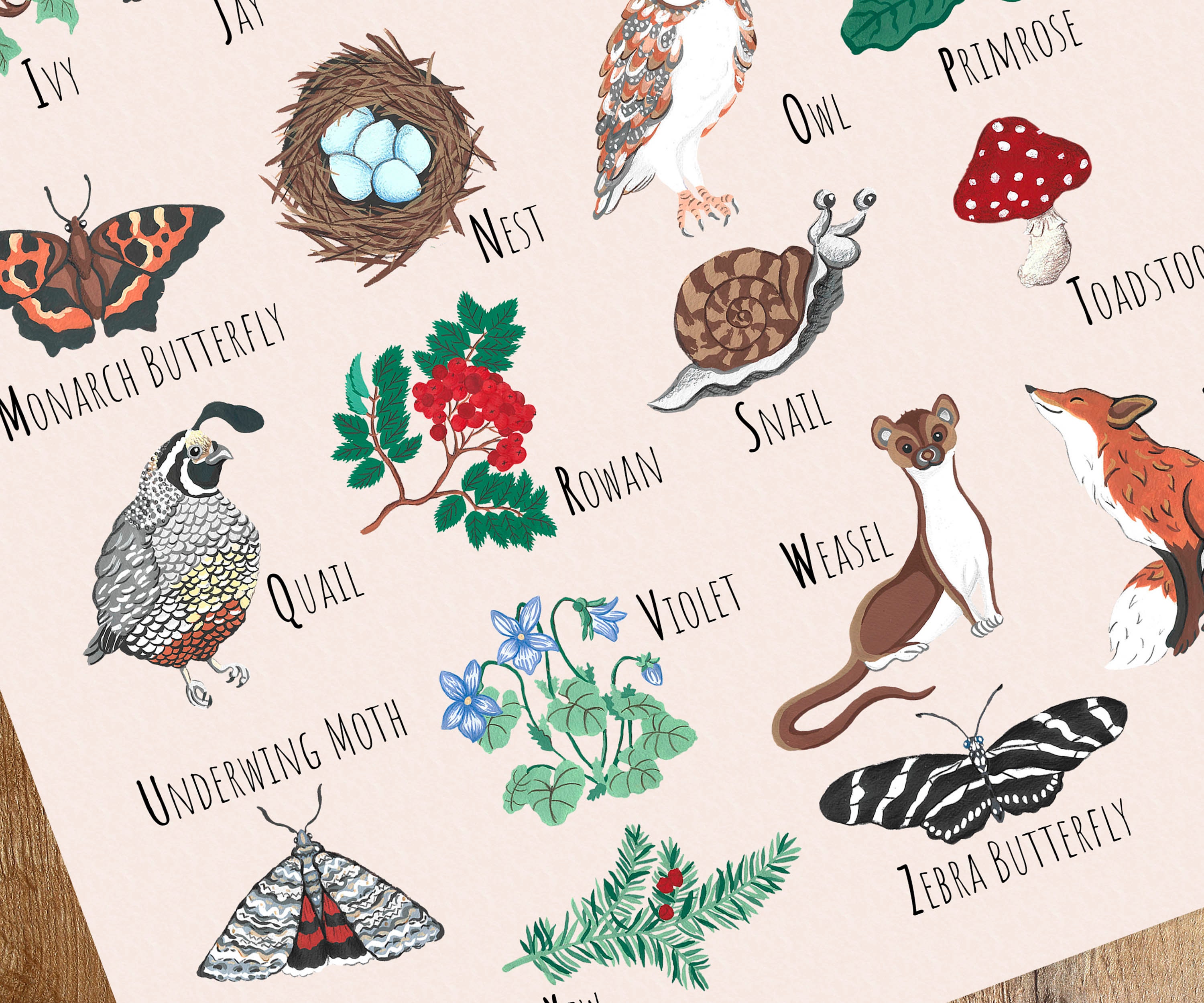 Woodland Animal Alphabet Poster Woodland ABC Wall Art - Etsy