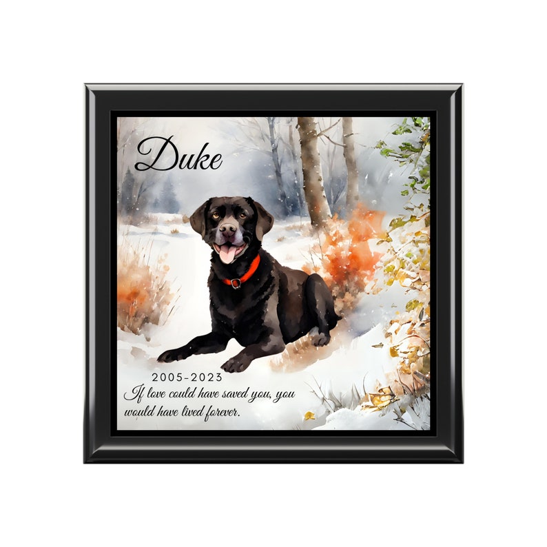 Pet Memorial Keepsake Box, Clay Paw Print Protector, Pet Ashes ...