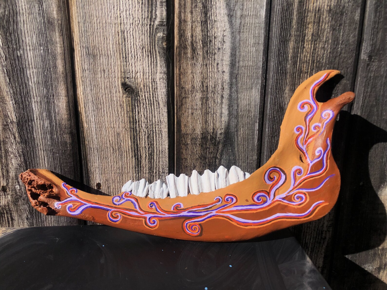 Authentic Large Hand Painted Jaw Bone With Teeth - Etsy