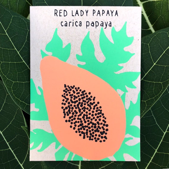 Red Lady Papaya Seed Packet 30 Seeds - Etsy