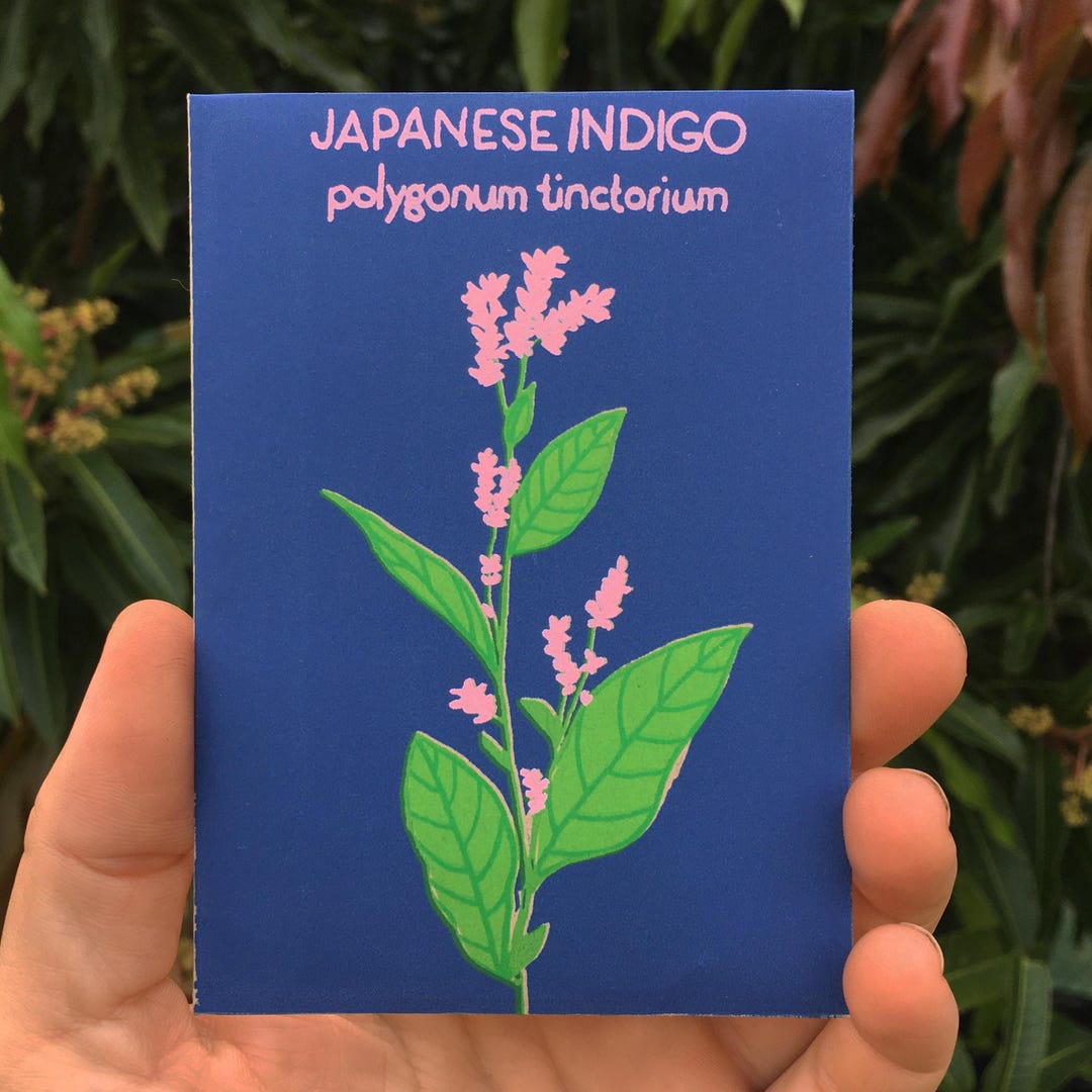 Japanese Dyeing Indigo Seed Packet, 100 Seeds - Etsy