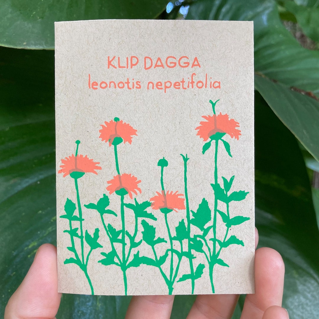 Klip Dagga Seed Packet, 100 Seeds - Etsy