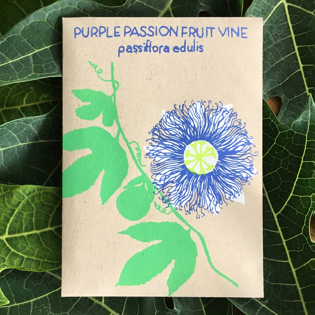 Purple Possum Passionfruit Seed Packet, 20 Seeds - Etsy