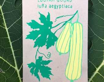 Hummingbird Tree Seed Packet 30 Seeds - Etsy