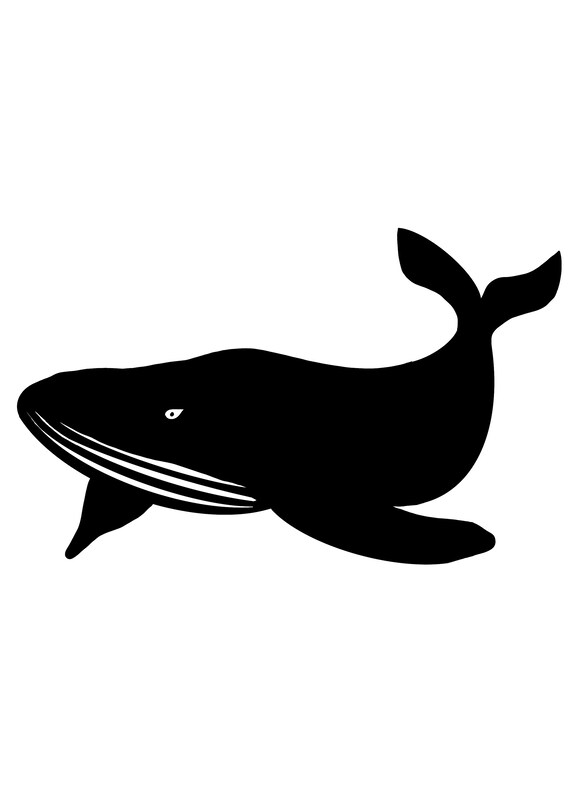 Ballena mamífero animal archivo SVG JPEG PNG de - Etsy México