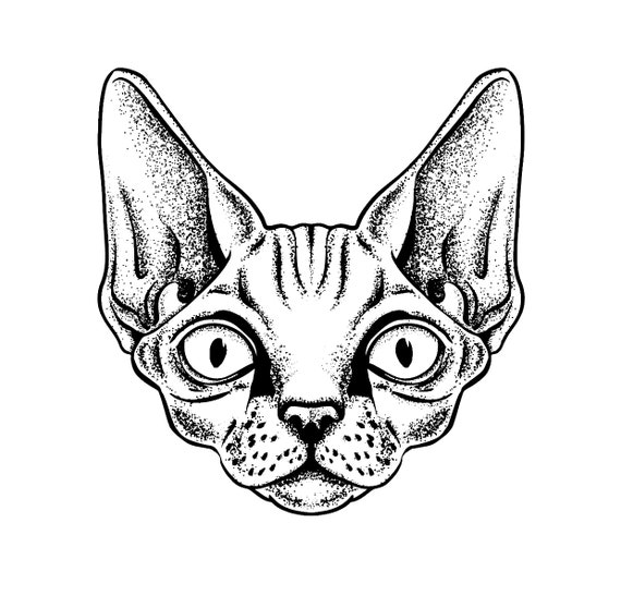 Vector Dot Illustration of a Devon Rex Cat | Etsy