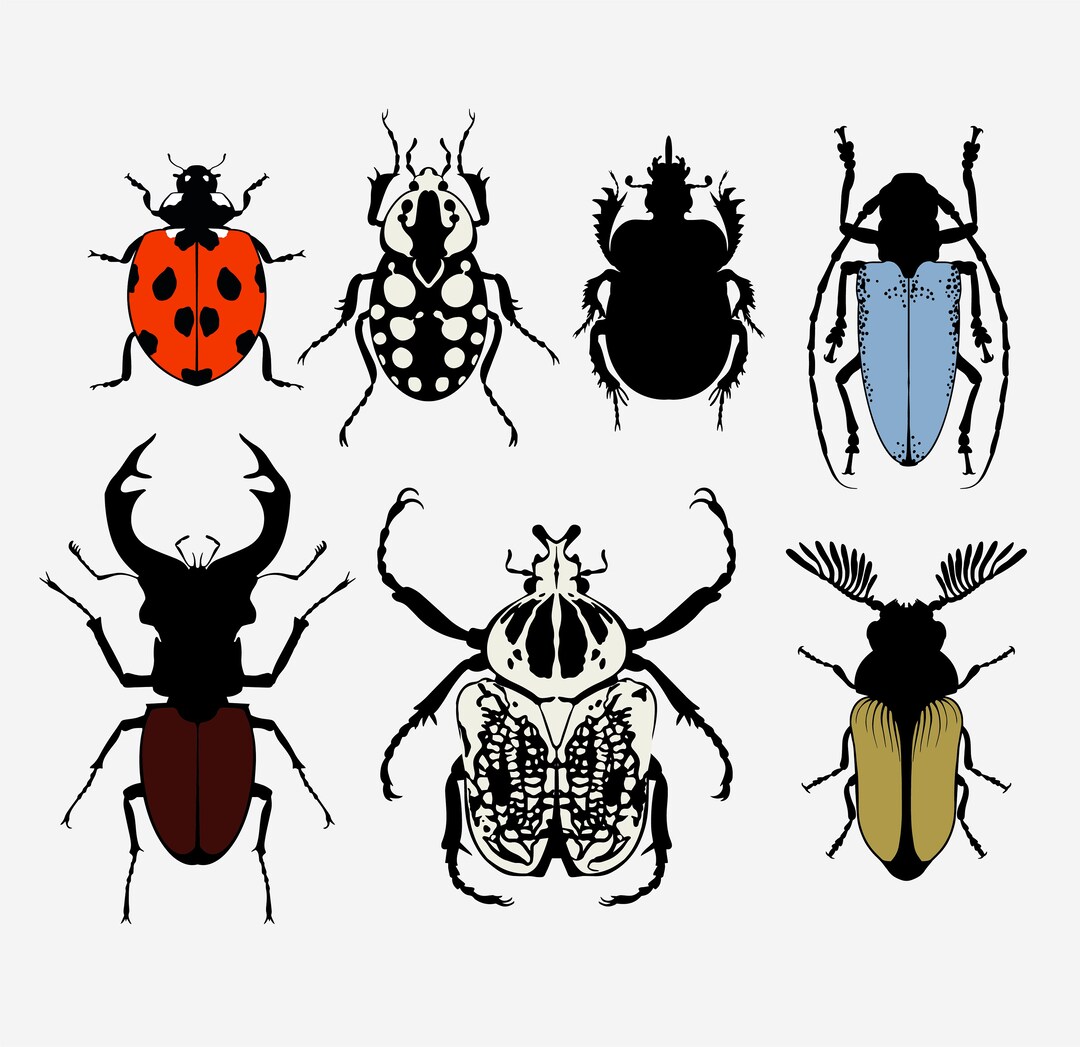 Big Bundle of Vector Beetles - Etsy