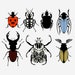 Big Bundle of Vector Beetles - Etsy