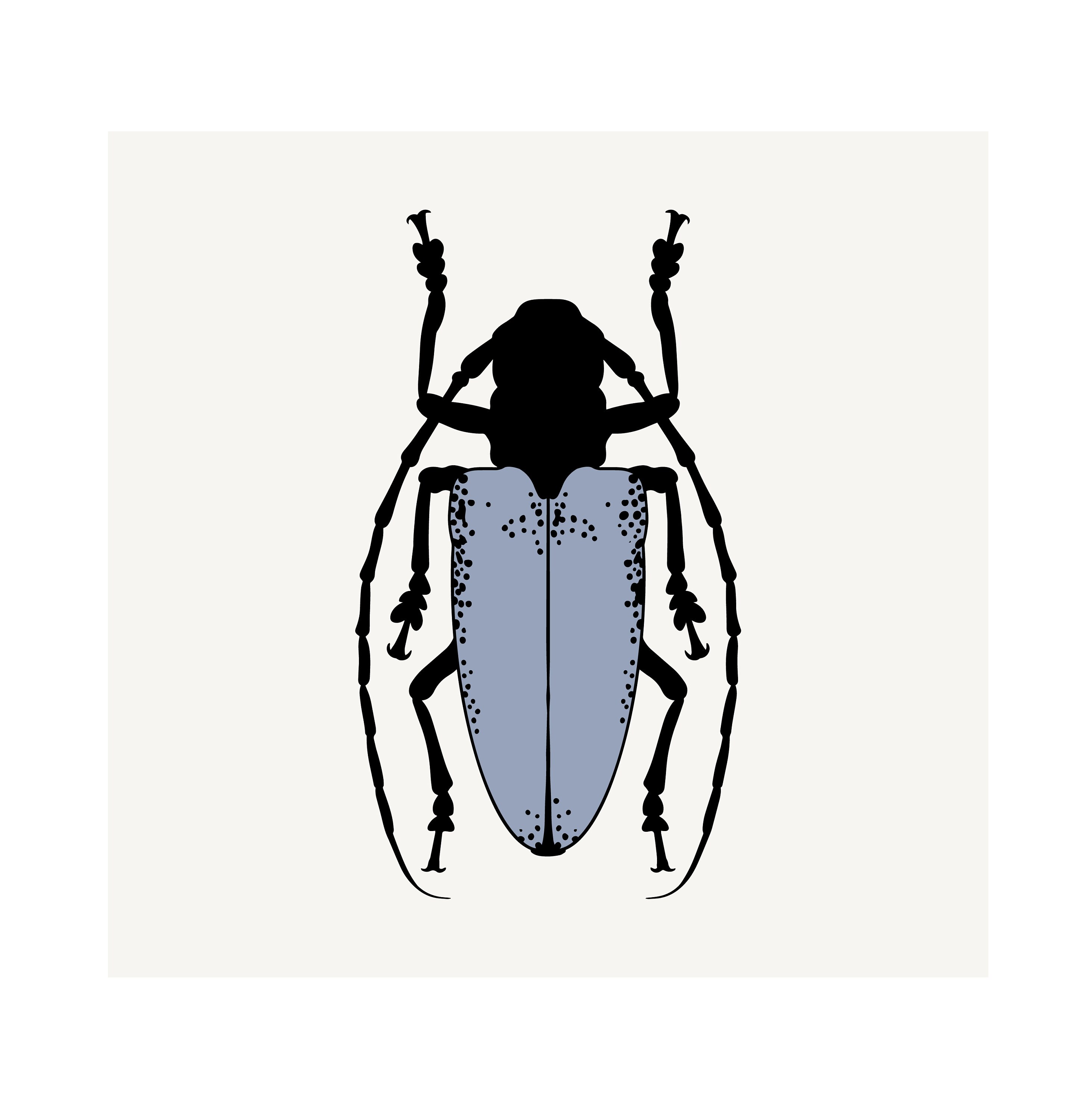Big Bundle of Vector Beetles - Etsy