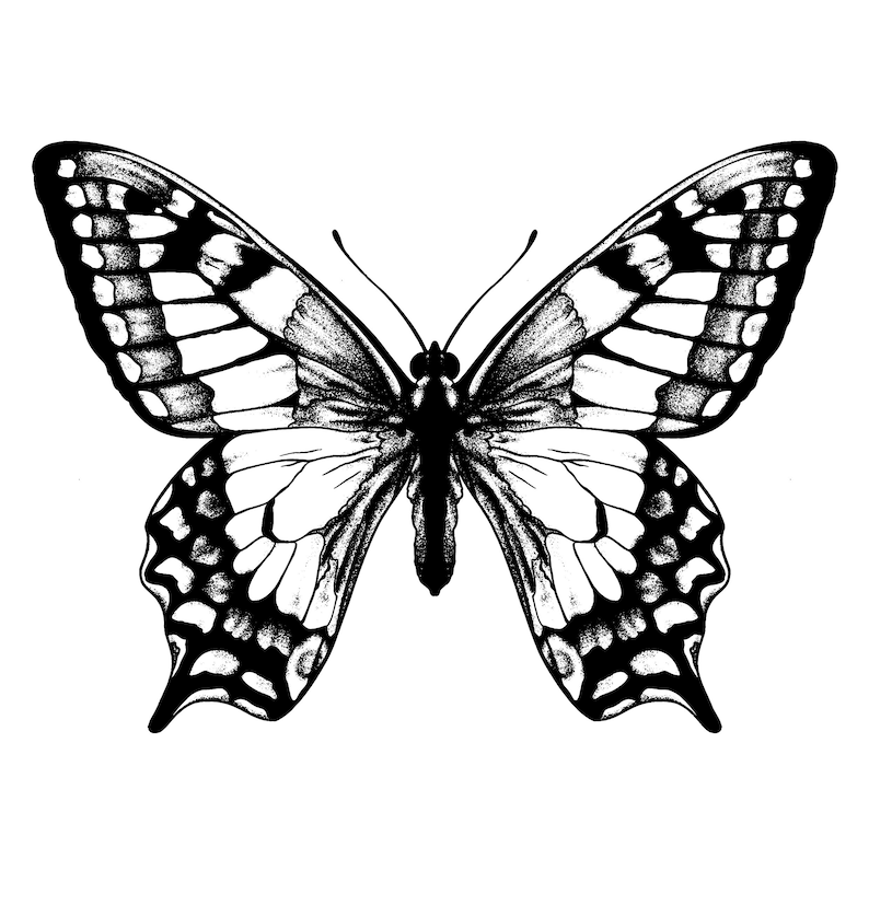 Vector Dot Illustration of a Painted Lady Butterfly - Etsy