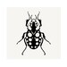 Big Bundle of Vector Beetles - Etsy