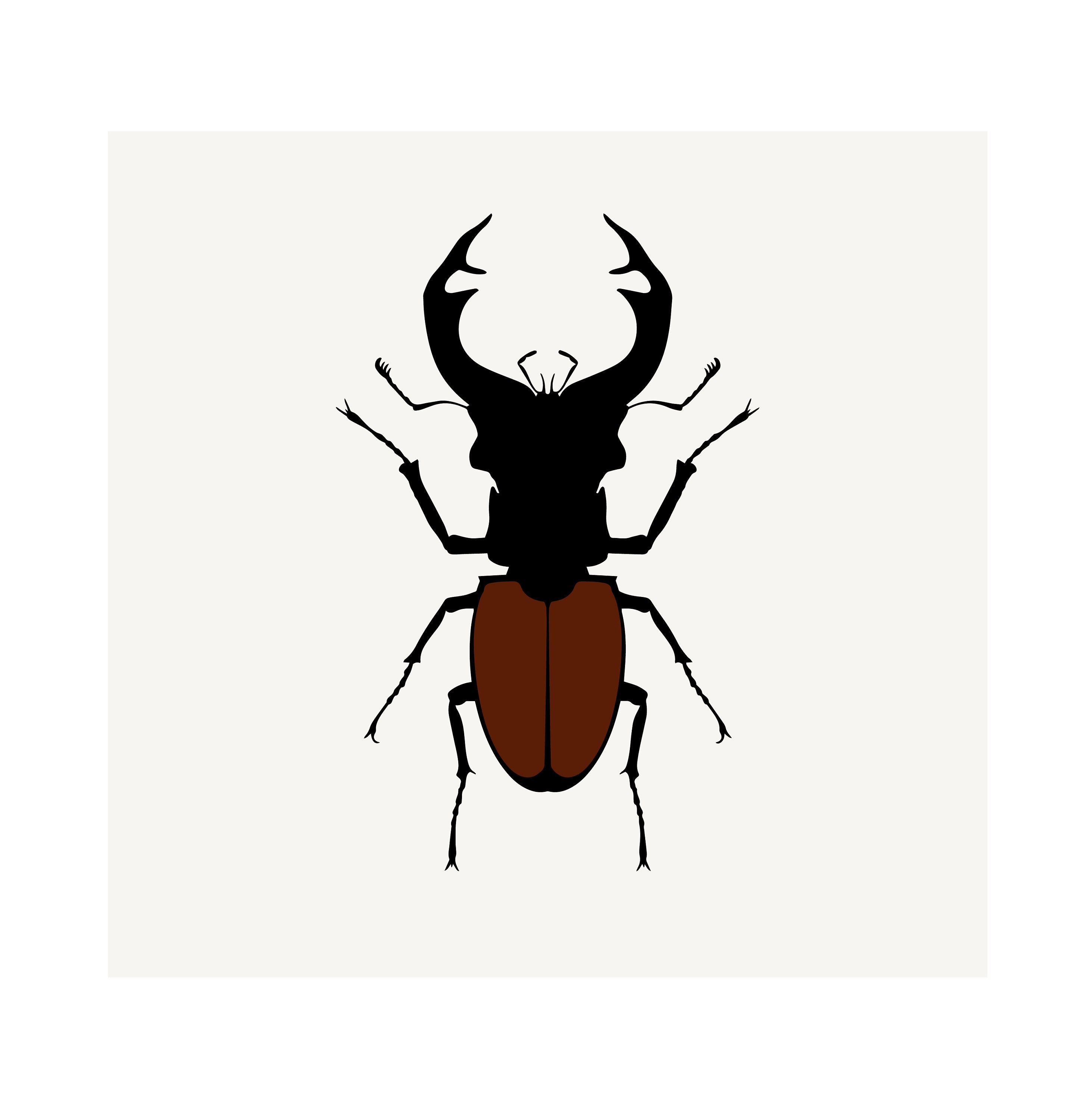 Stag Beetle Vector Bundle - Etsy