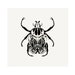 Big Bundle of Vector Beetles - Etsy