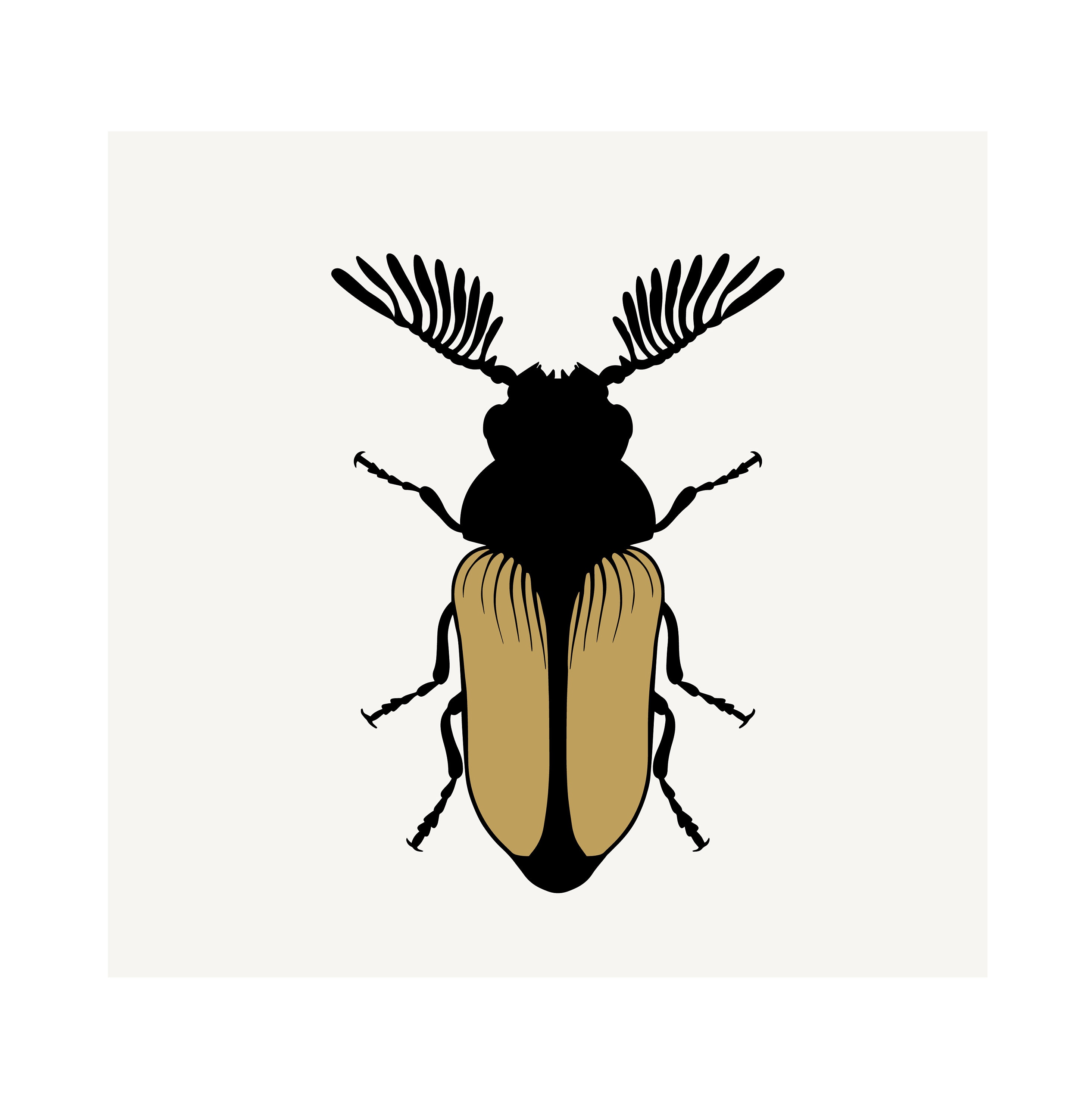 Big Bundle of Vector Beetles - Etsy
