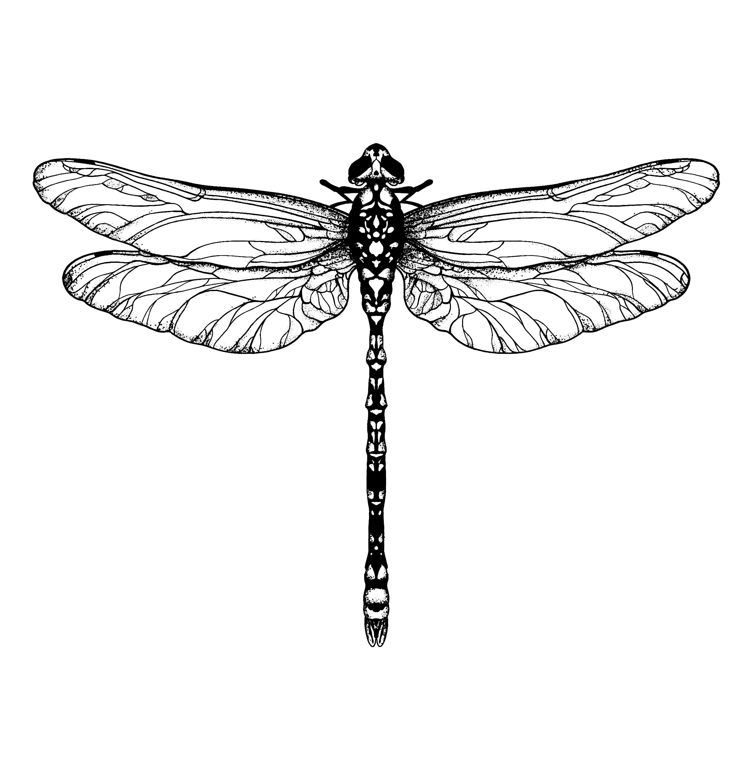 Vector Dot Illustration of a Dragonfly - Etsy