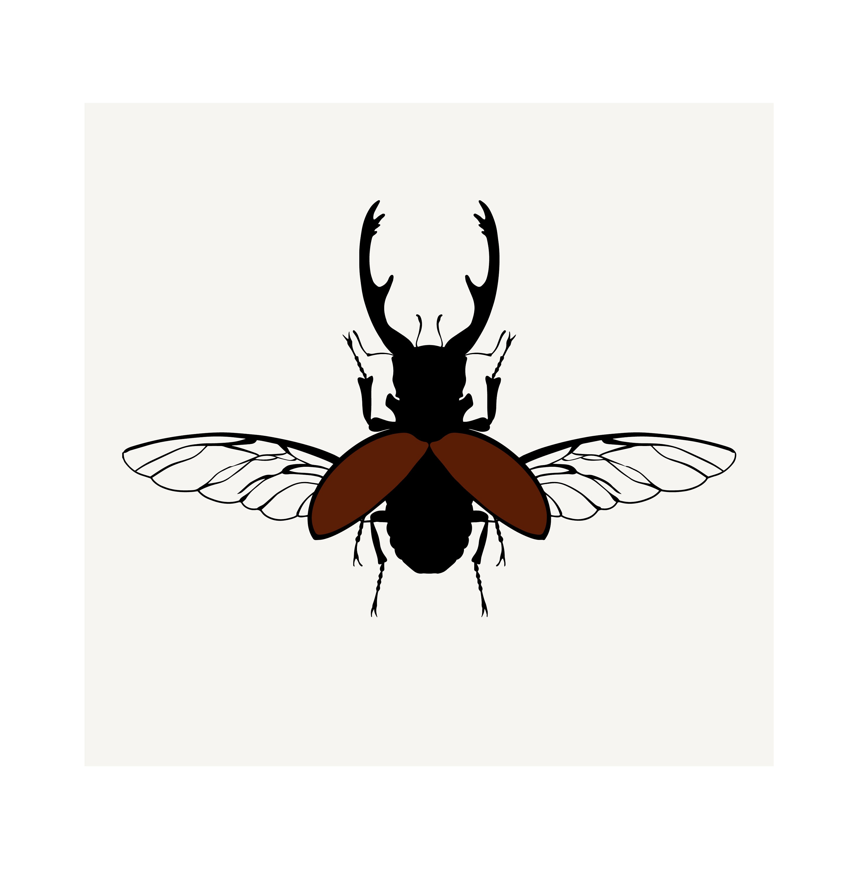 Stag Beetle Vector Bundle - Etsy