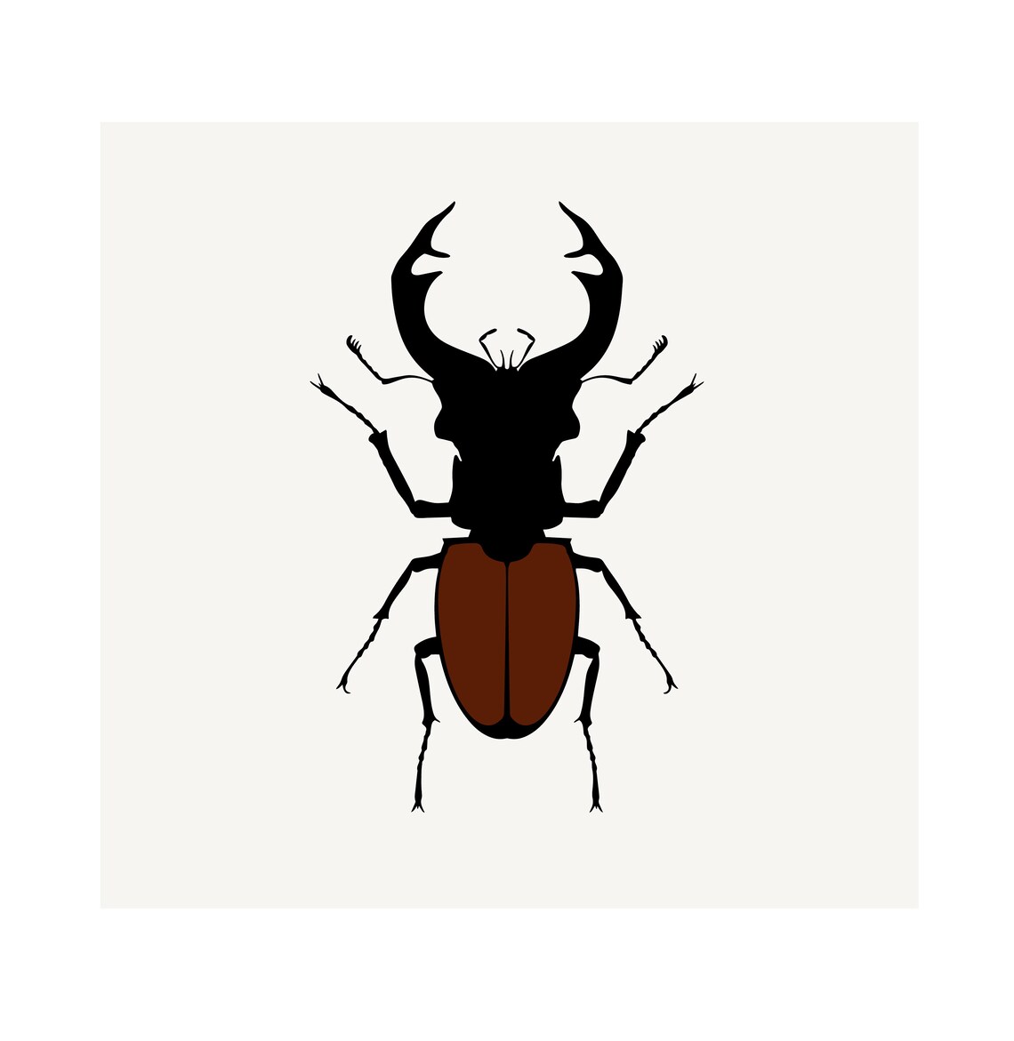 Big Bundle of Vector Beetles - Etsy