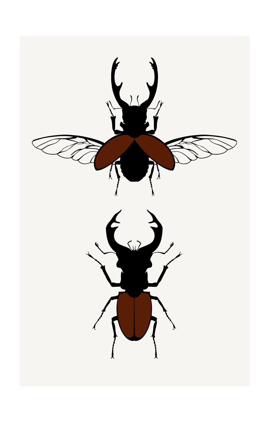 Stag Beetle Vector Bundle - Etsy