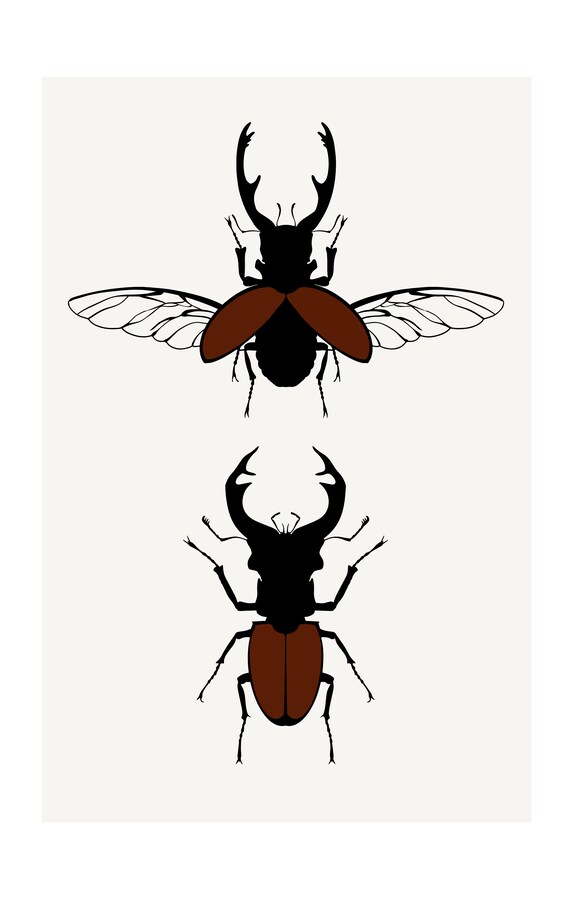 Stag Beetle Vector Bundle - Etsy