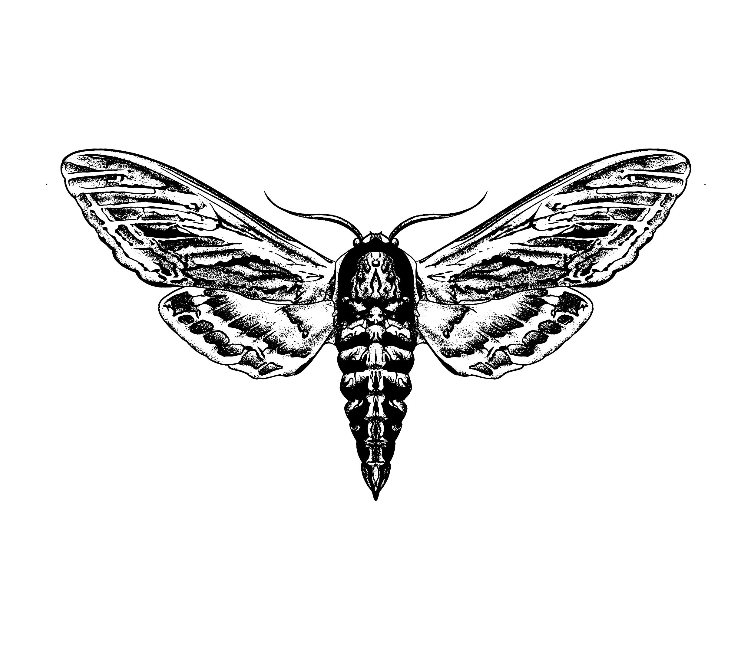 Vector Dot Illustration of a Death Head Hawk Moth - Etsy